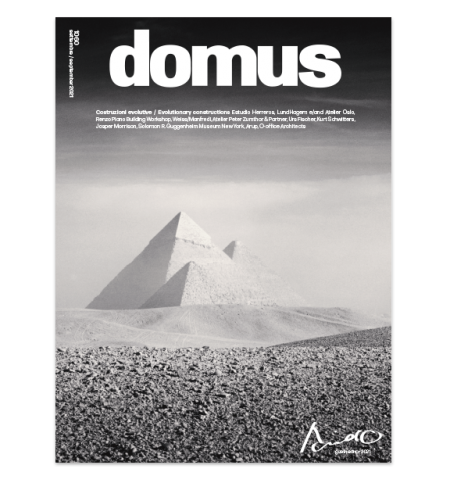Domus print subscription - Professionals (1 year) - shopED - Editoriale ...